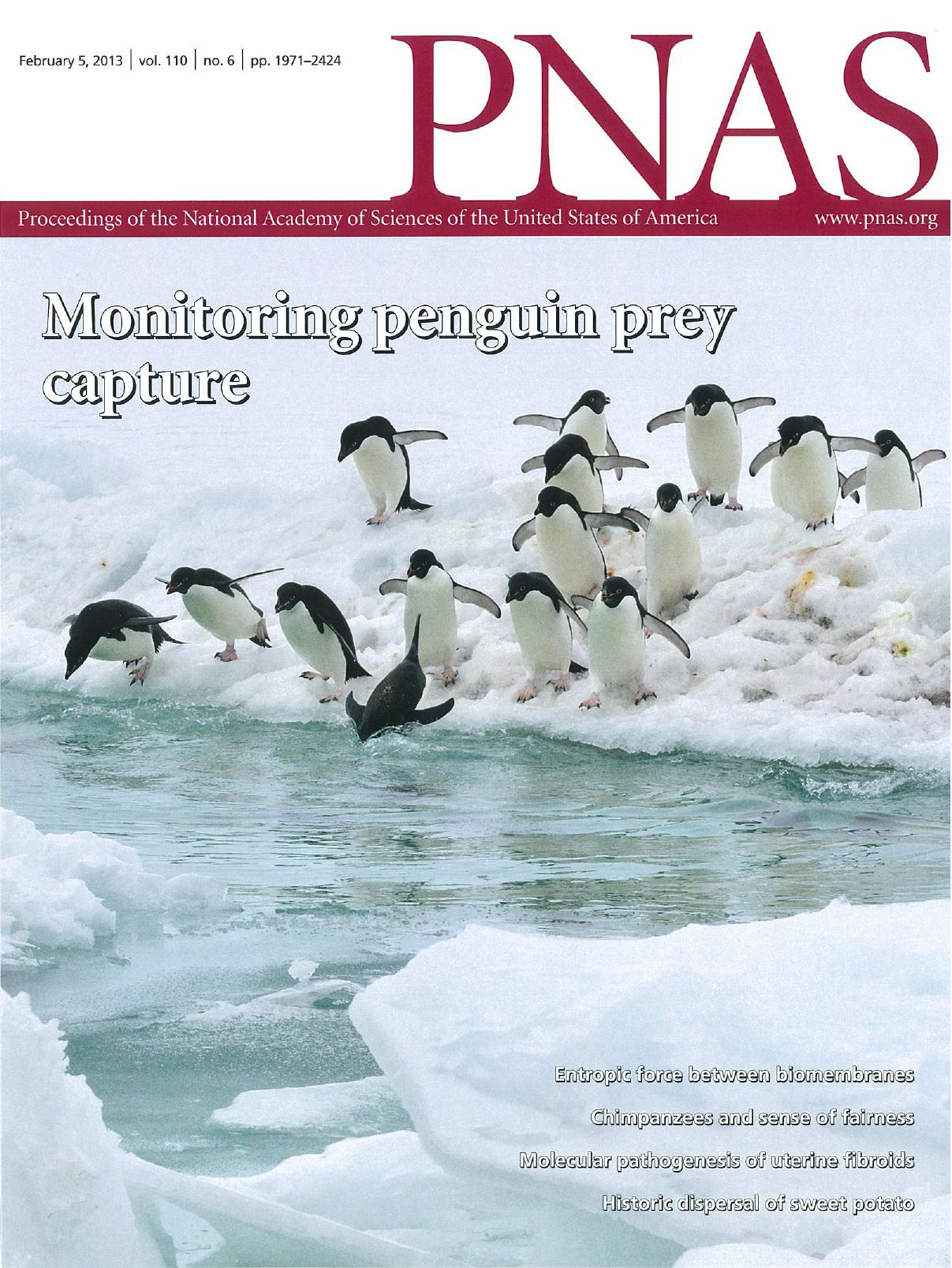 研究成果 | 総研大マリンプレデターラボ